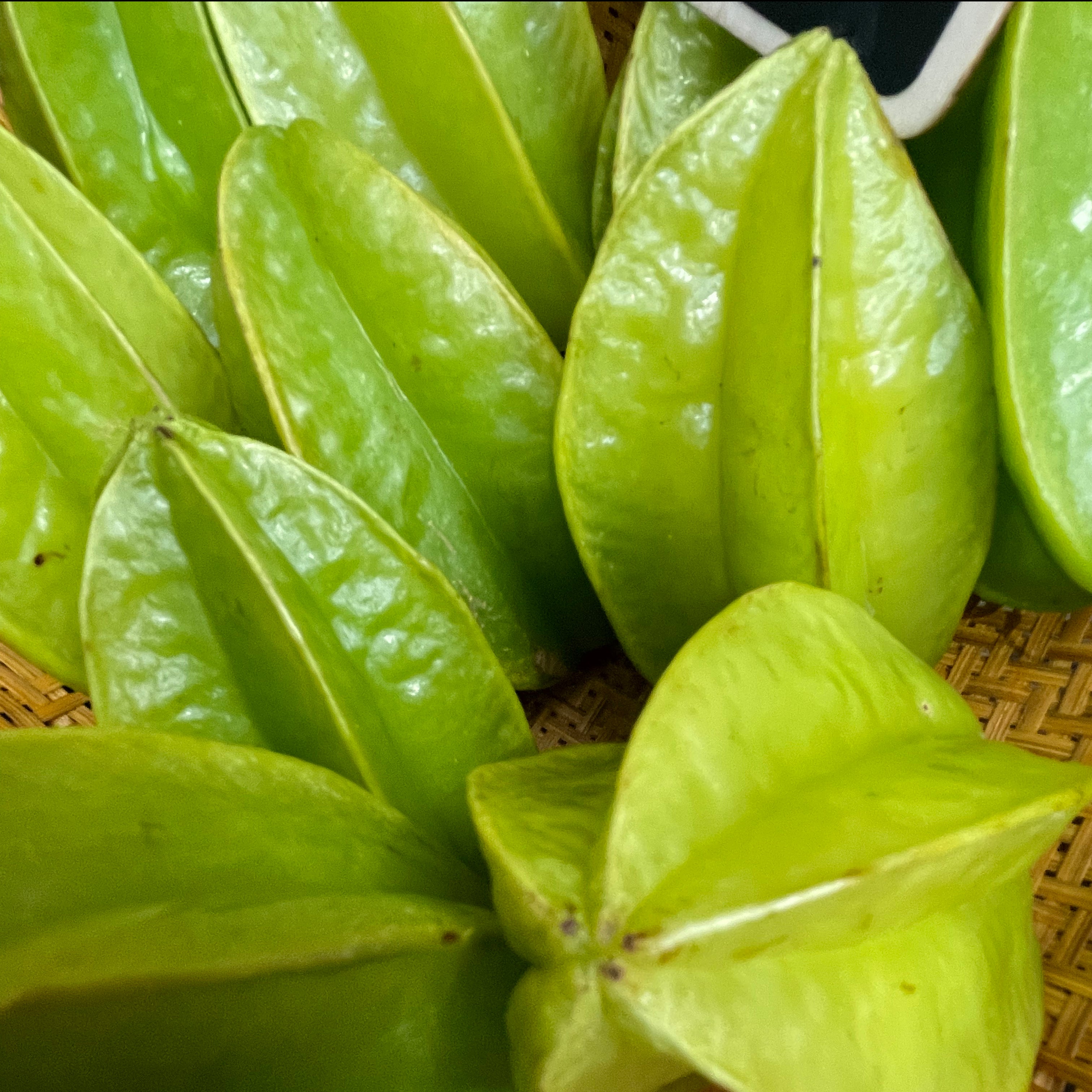 Fruits – Raya Grocery